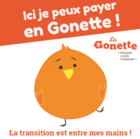 La Gonette, la monnaie 100% lyonnaise – Lyon 7 Rive Gauche